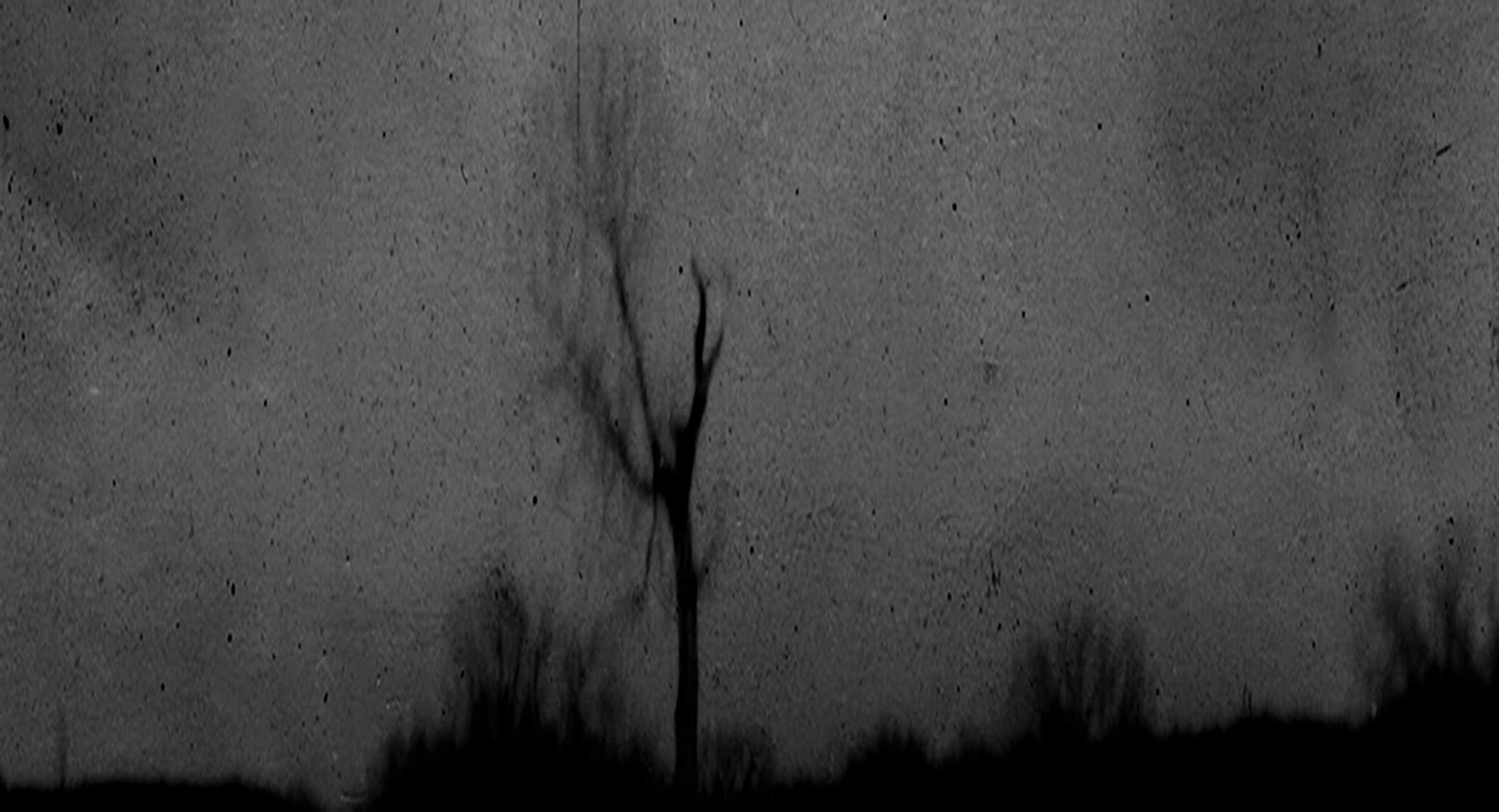 tree-banner – illiterate/genius